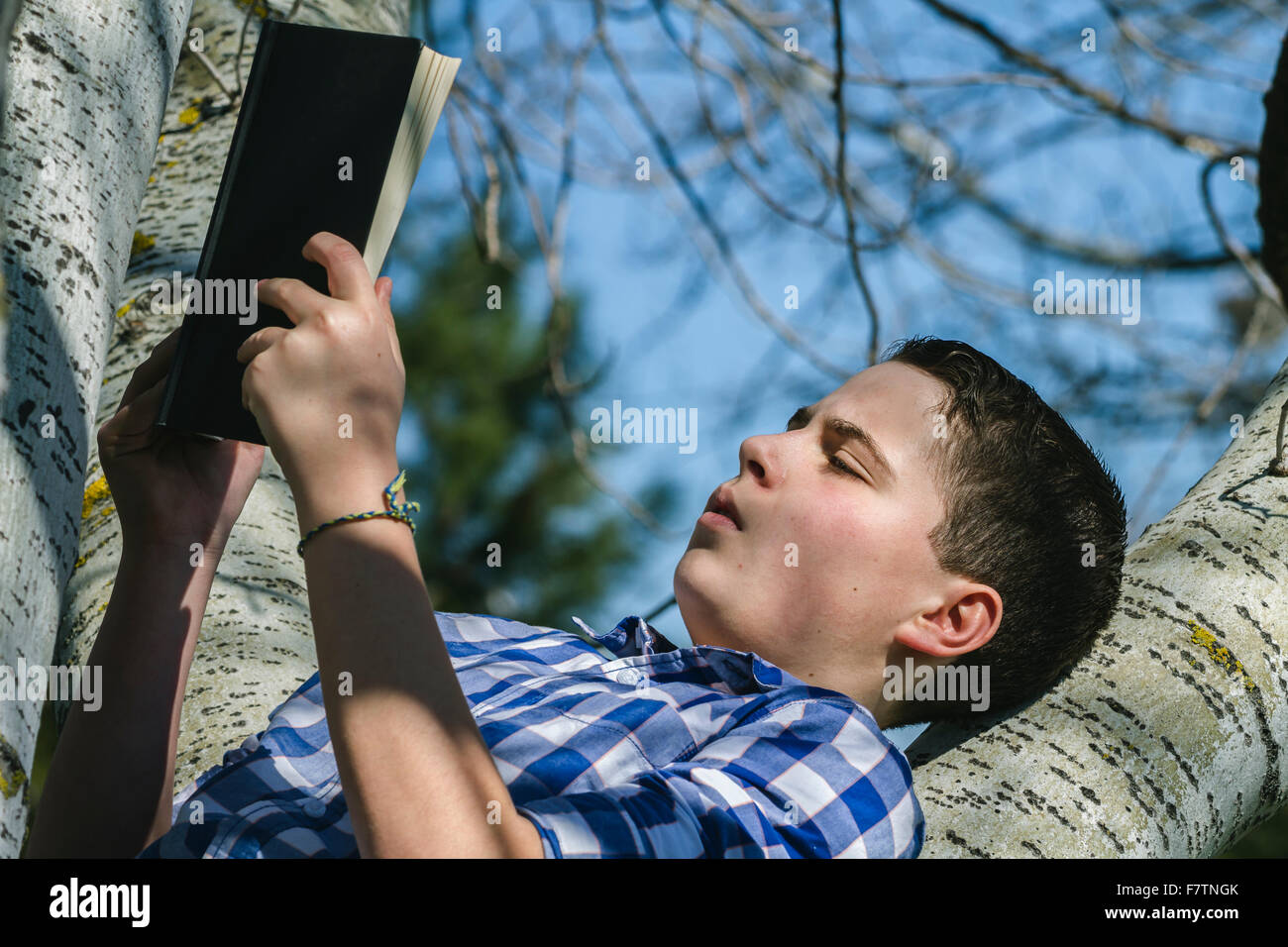 Spring Young boy reading a book in the woods with shallow depth of ...