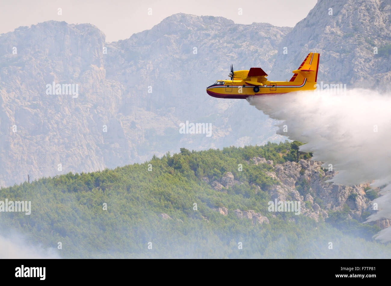 Airplane droping water on fire on island Stock Photo - Alamy