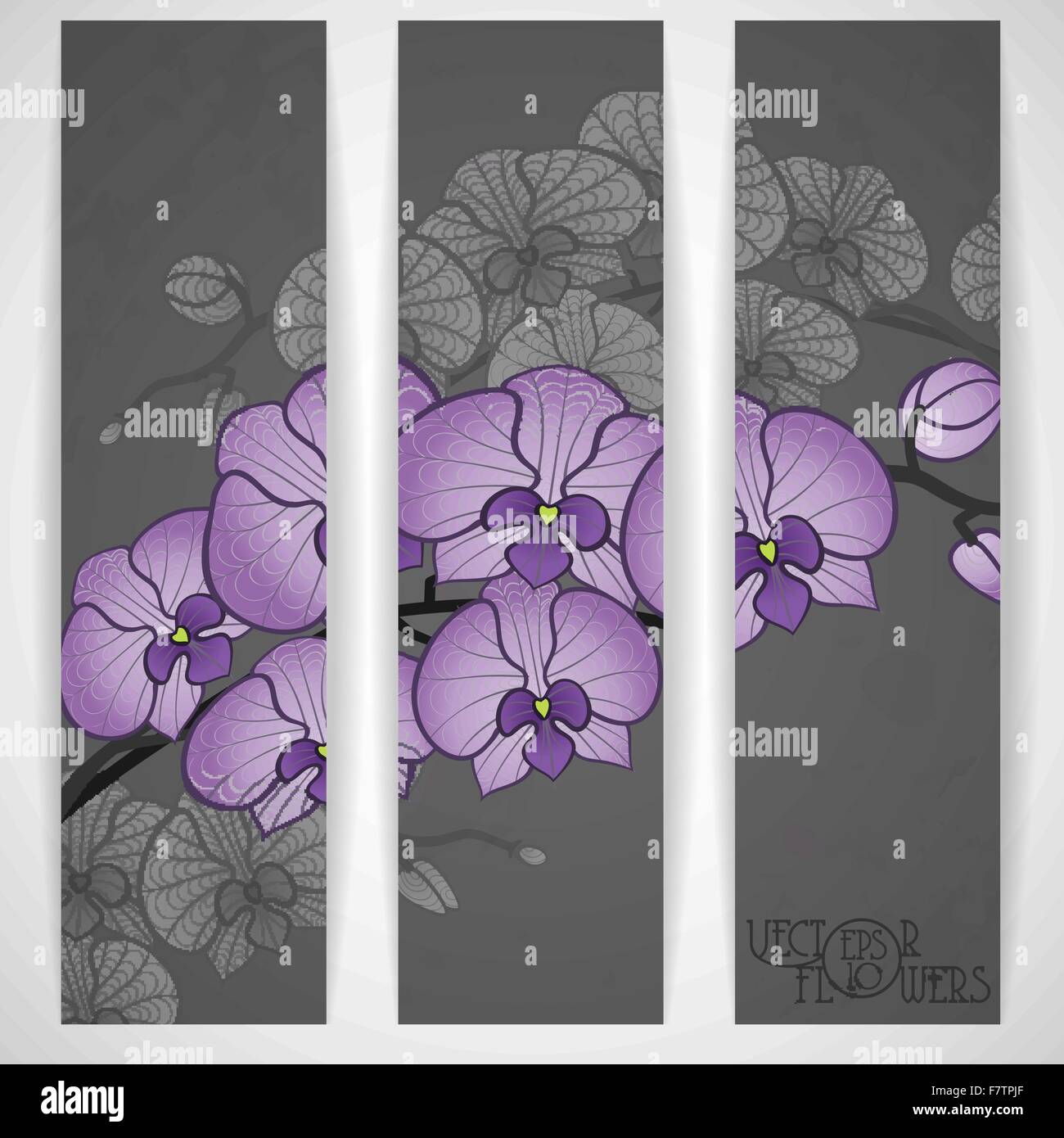 Hand Drawing Orchid Flower Stock Vector Image & Art - Alamy