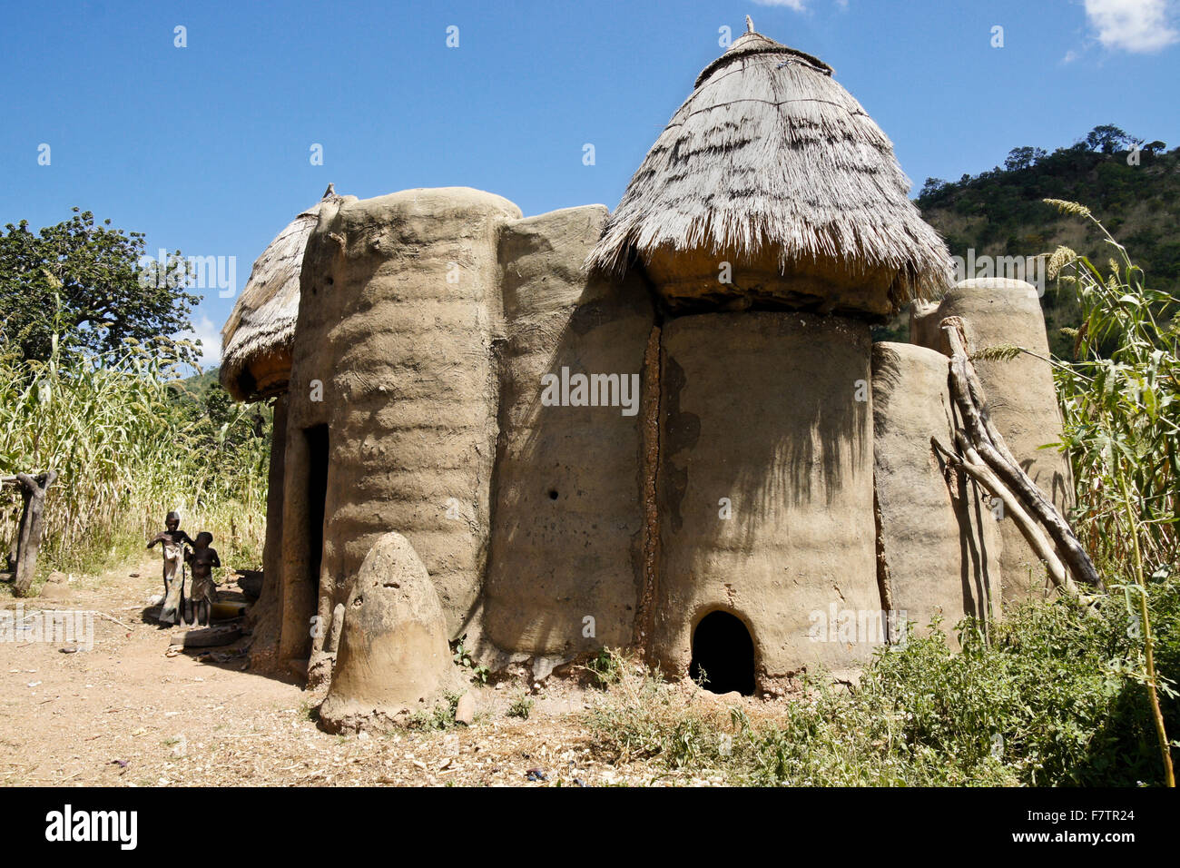 Takienta (tower house) and ancestor shrine, Koutammakou, "Land of the ...