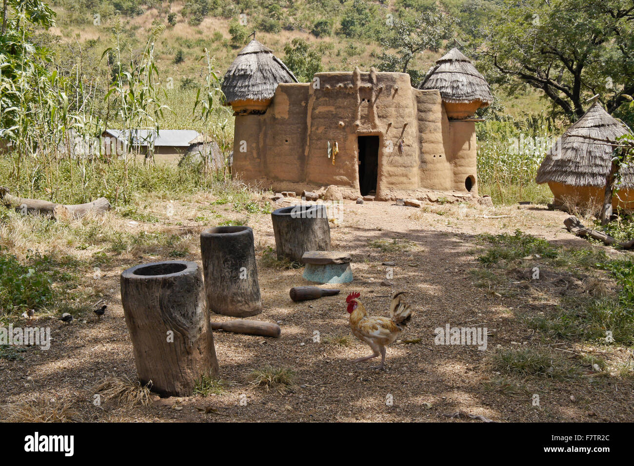 Takienta (tower house) and implements for grinding corn, Koutammakou ...