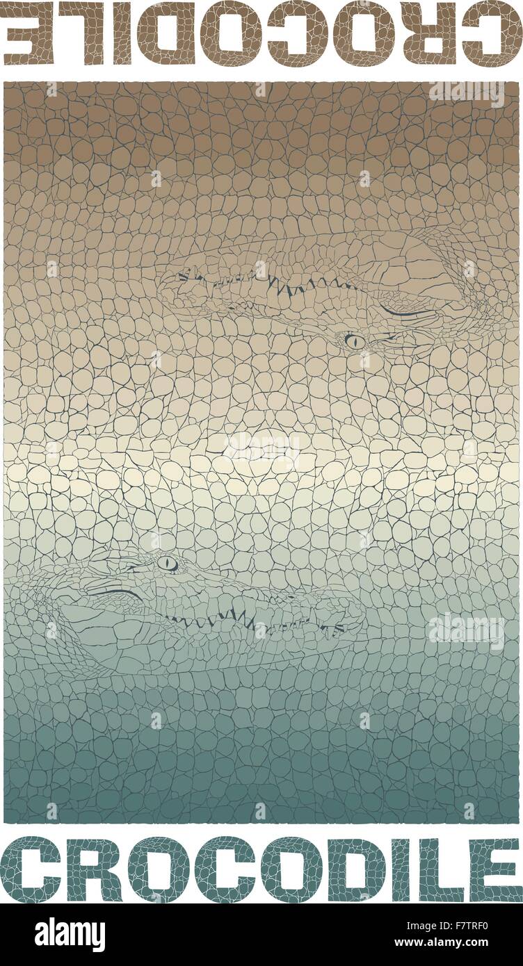 Skin drawing hi-res stock photography and images - Alamy