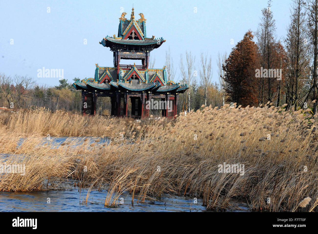 Tsingtao, Shandong, CHN. 2nd Dec, 2015. Tsingtao, CHINA - December 2 ...