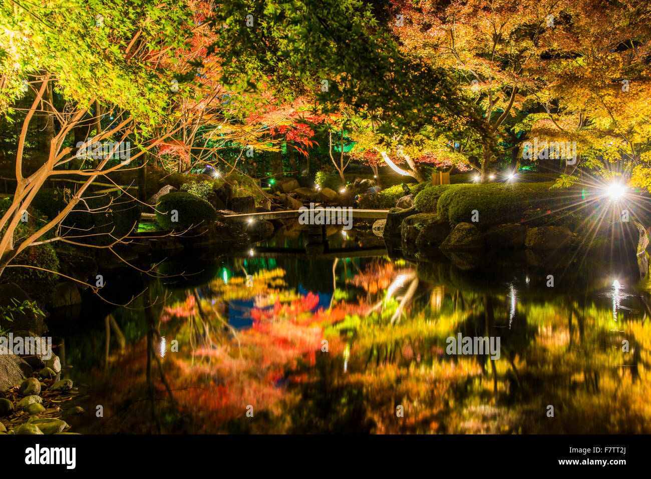 Autumn colors,Otaguro Park,Suginami-Ku,Tokyo,Japan Stock Photo - Alamy