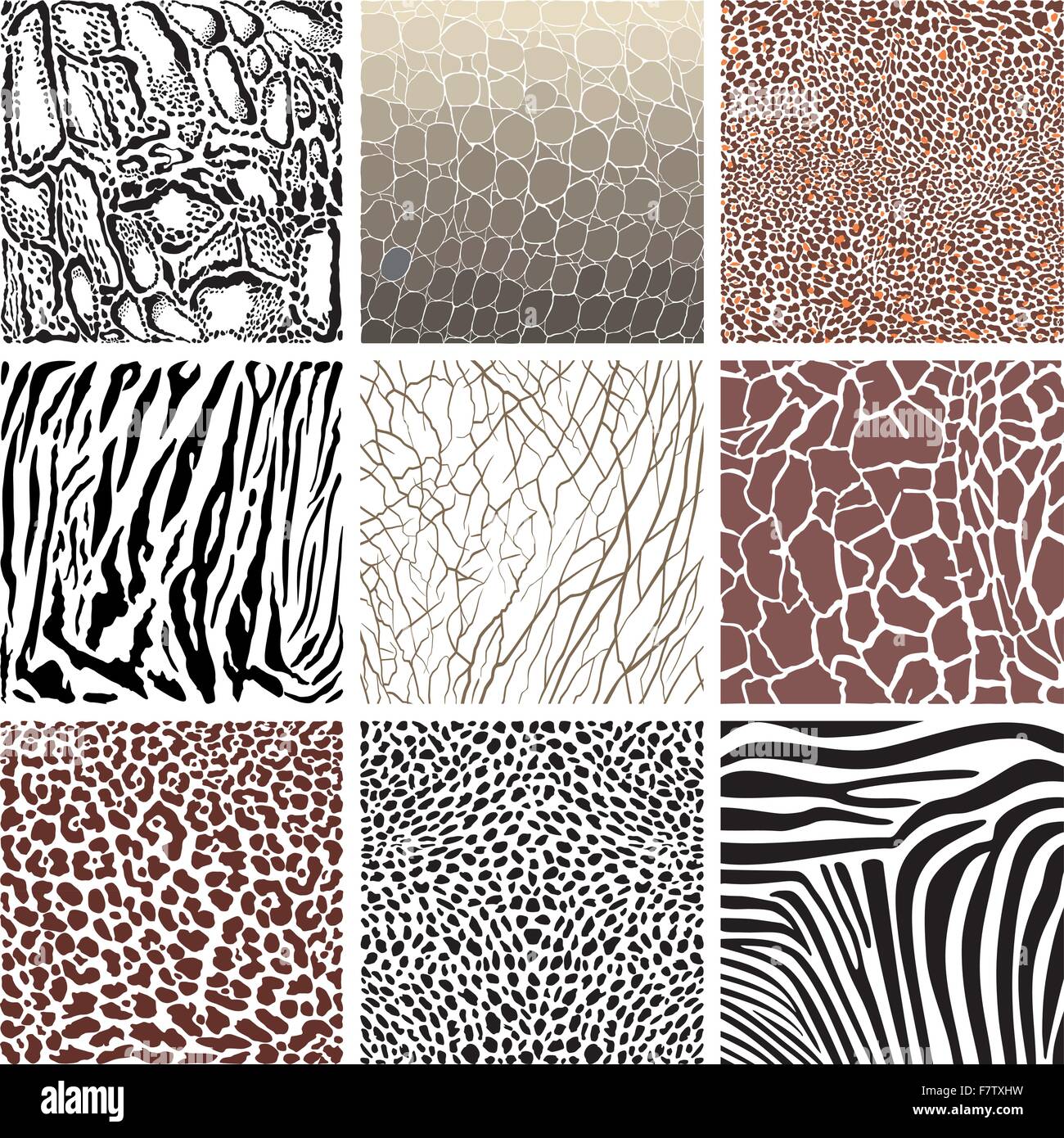Leopard zebra background Stock Vector Images - Alamy