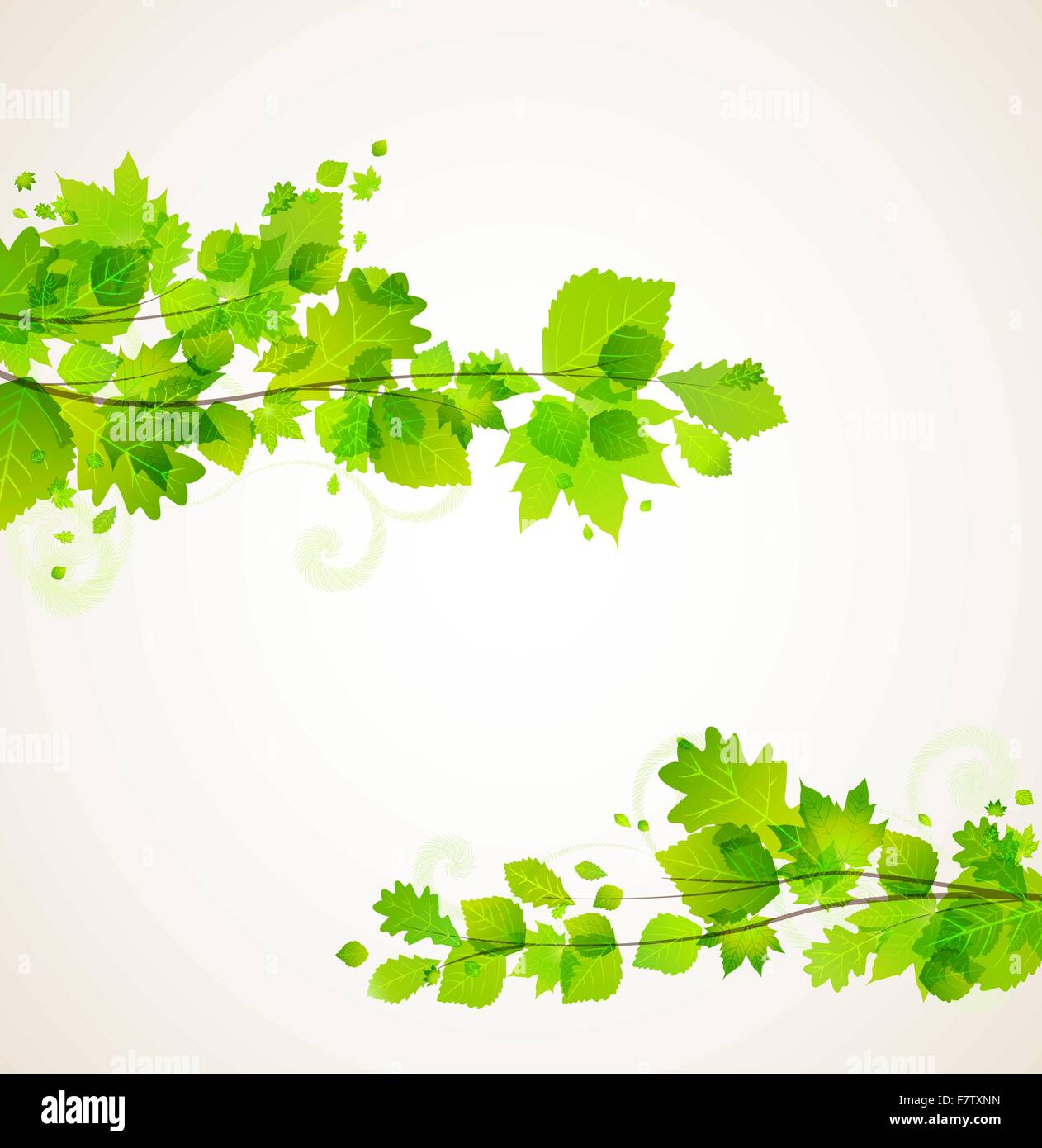 Green leaves tree bush branch Stock Vector Images - Alamy
