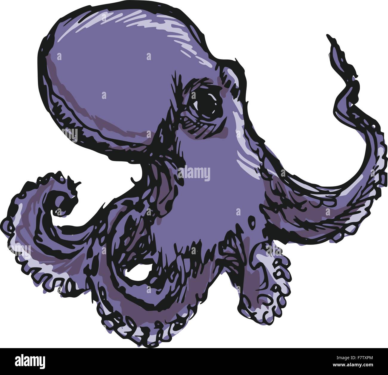 Octopus isolated white background Stock Vector Images - Alamy