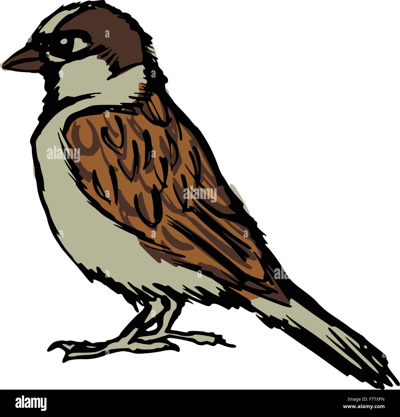 Side view on brown Stock Vector Images - Alamy