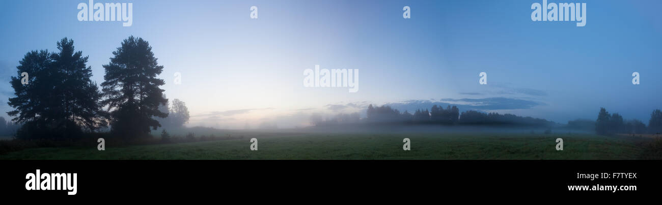 Misty meadow at dawn Stock Photo - Alamy