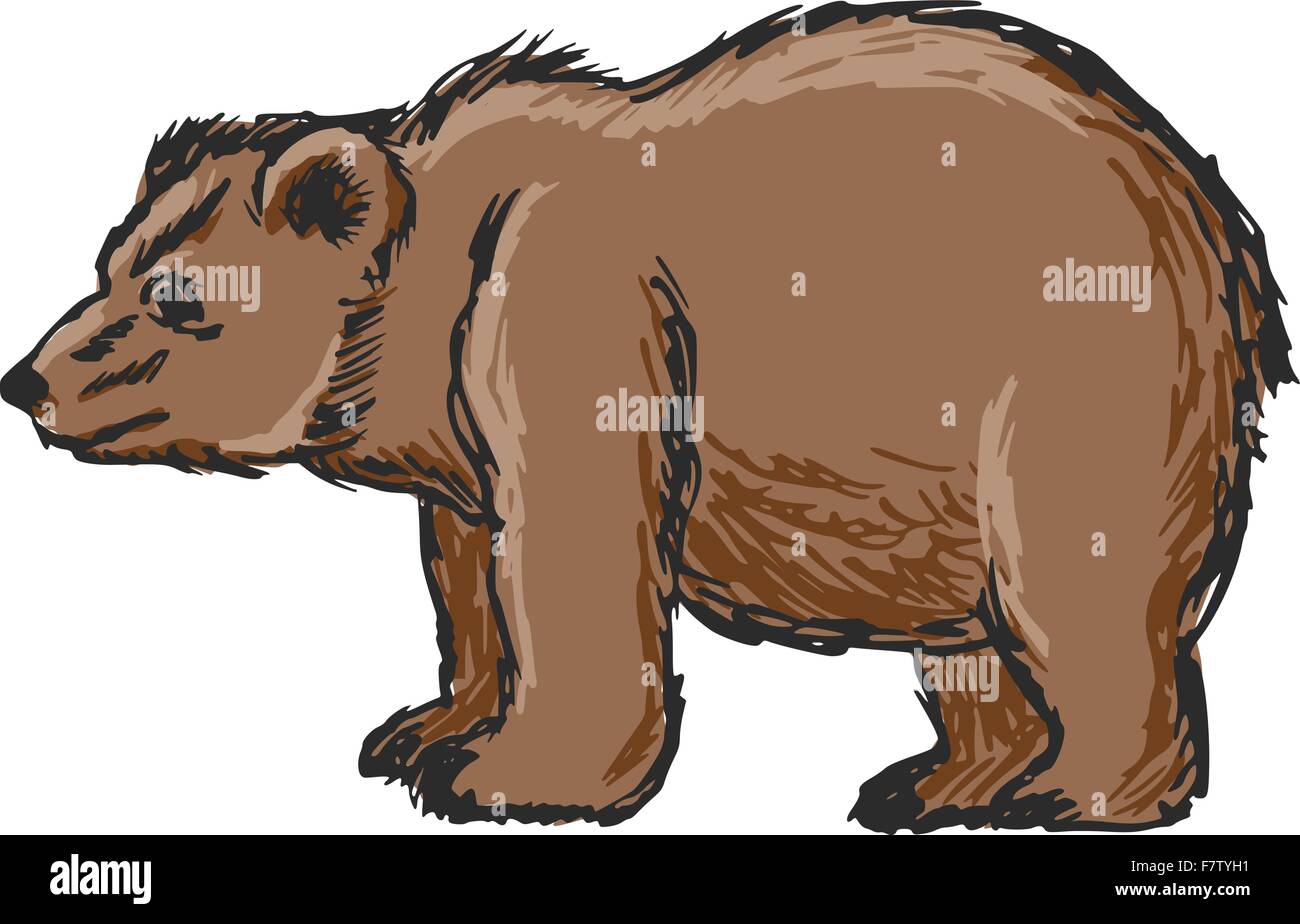 Brown bear side view Stock Vector Images - Alamy