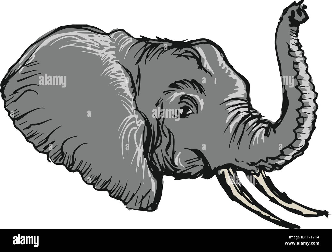 Strong elephant Stock Vector Images - Alamy