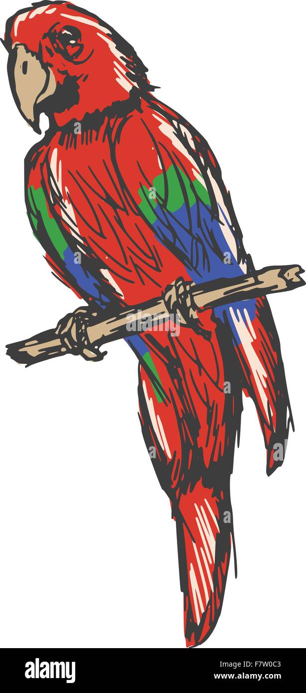 Macaw feathers Stock Vector Images - Alamy