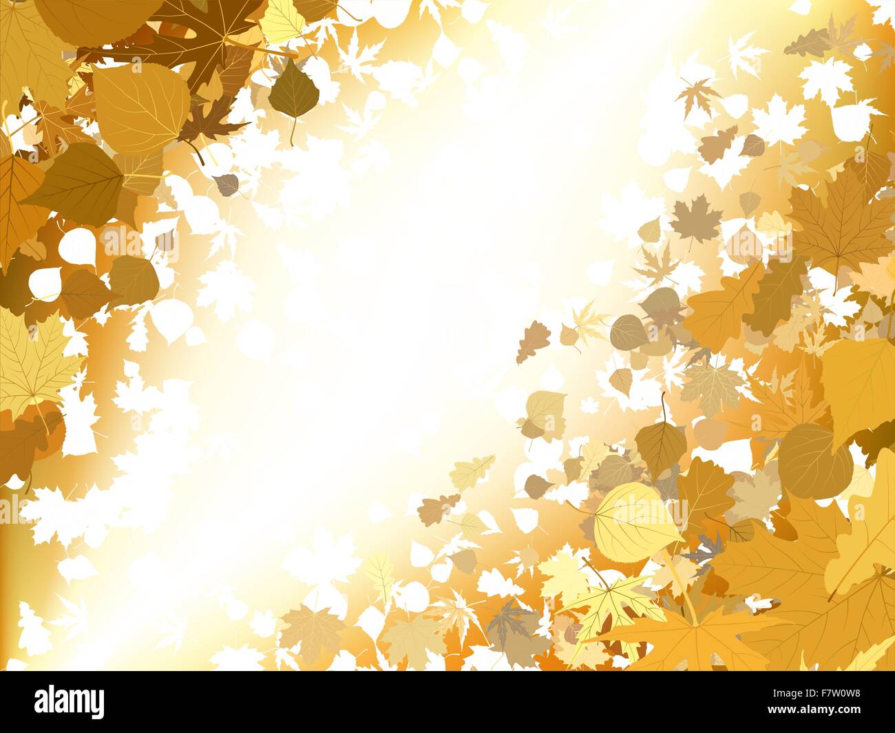 Autumn light background. EPS 8 Stock Vector Image & Art - Alamy