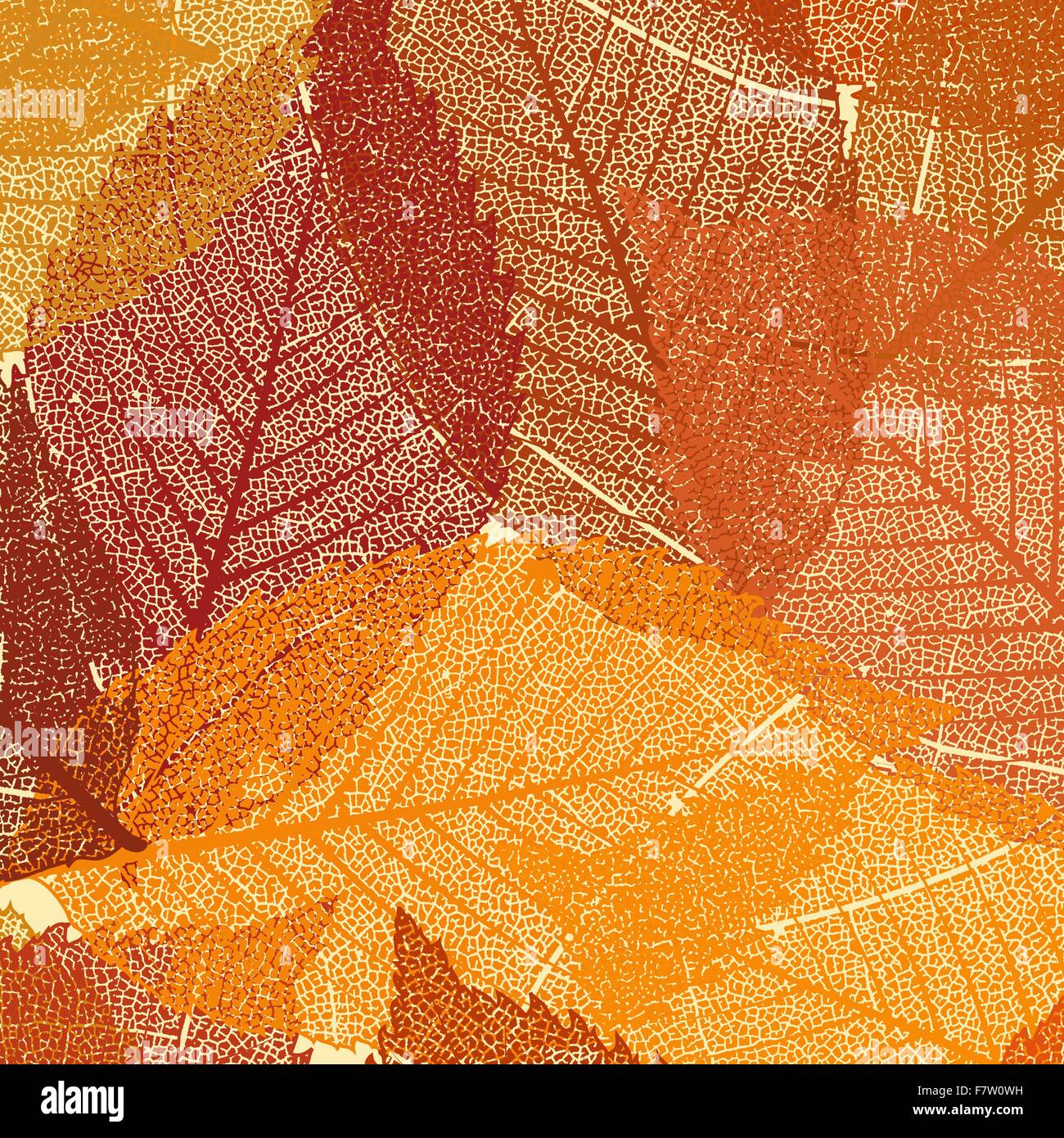 Dry autumn leaves template. EPS 8 Stock Vector Image & Art - Alamy
