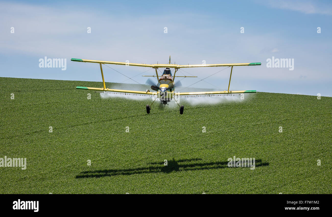 An aerial applicator/crop duster sprays a field of wheat to help ...
