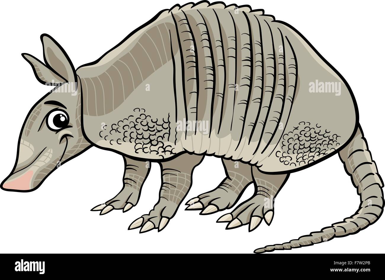armadillo animal cartoon illustration Stock Vector Image & Art - Alamy