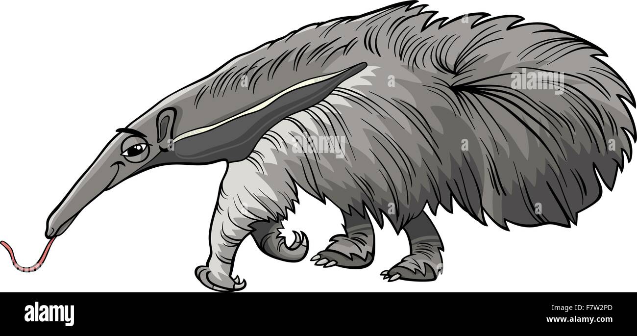 anteater animal cartoon illustration Stock Vector Image & Art - Alamy