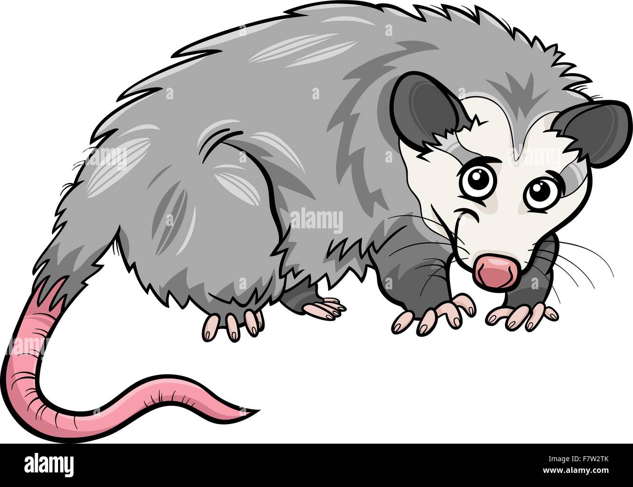 Angry Possum
