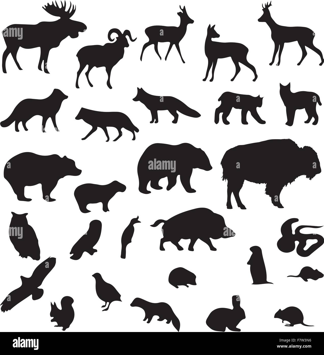Wild animals vector set silhouettes Stock Vector Image & Art - Alamy