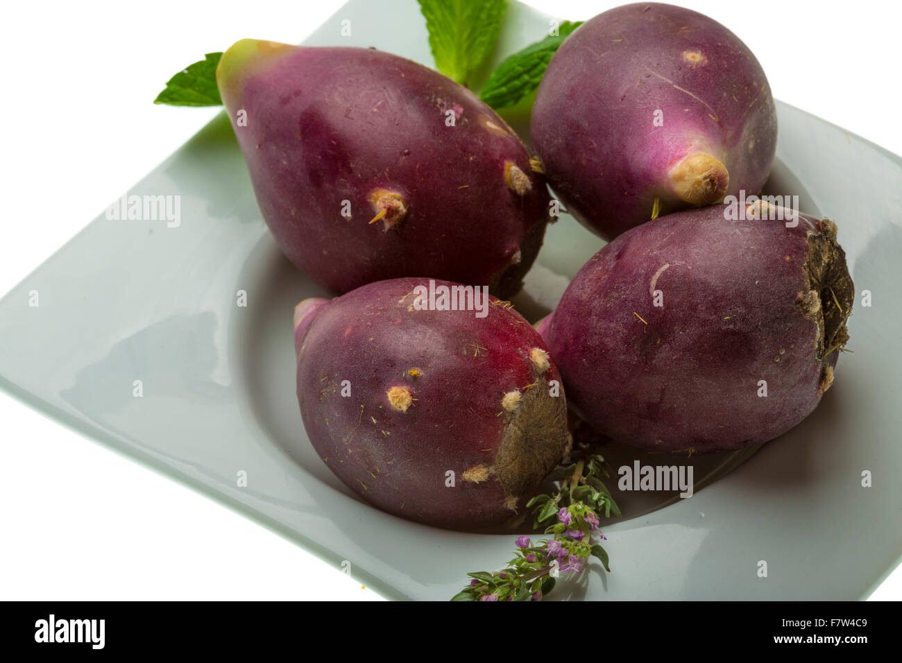 Sabr cactus hi-res stock photography and images - Alamy