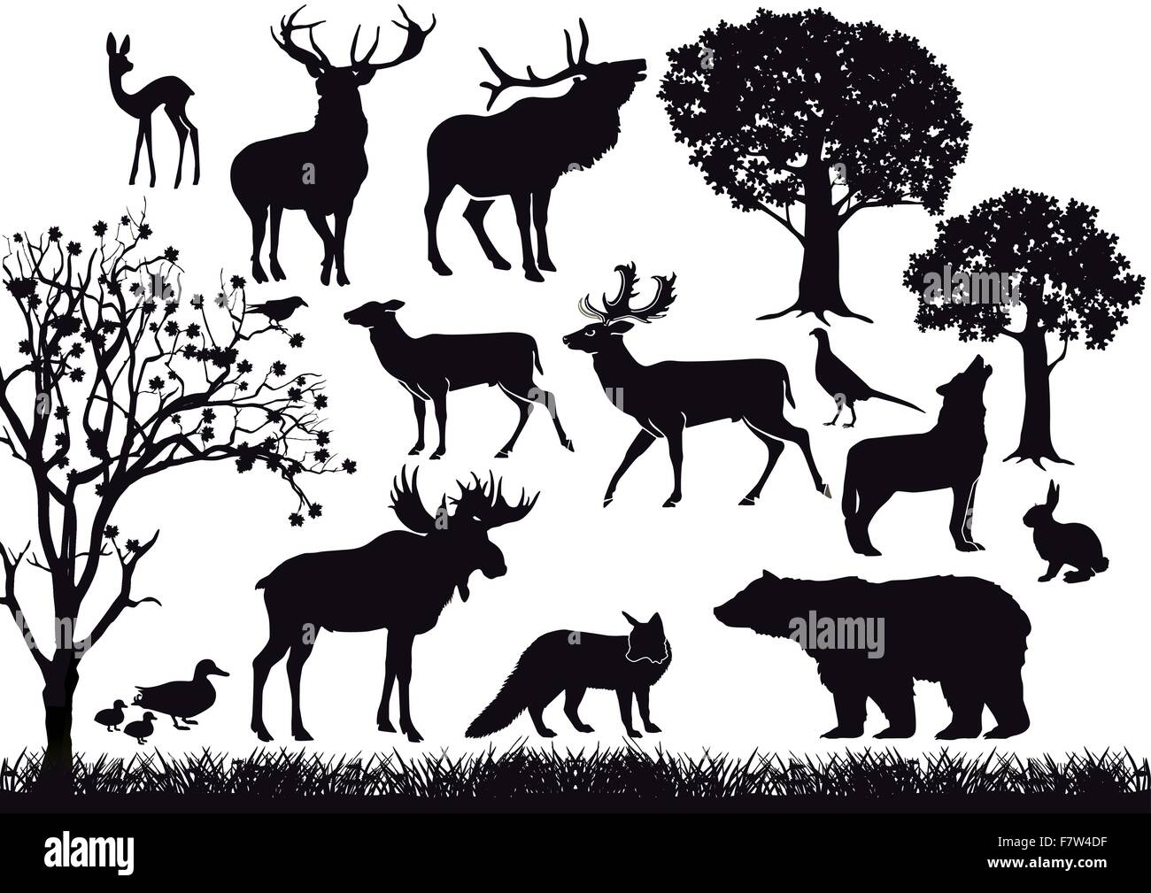 Forest and Wildlife Stock Vector Image & Art - Alamy