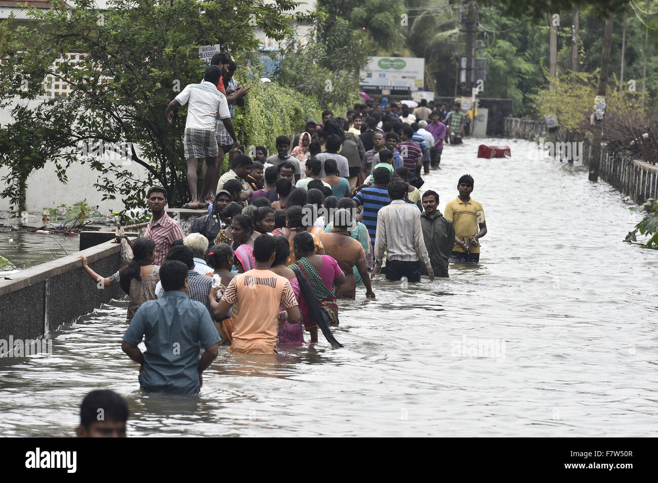 Chennai, Indian state Tamil Nadu. 2nd Dec, 2015. People wade through a ...
