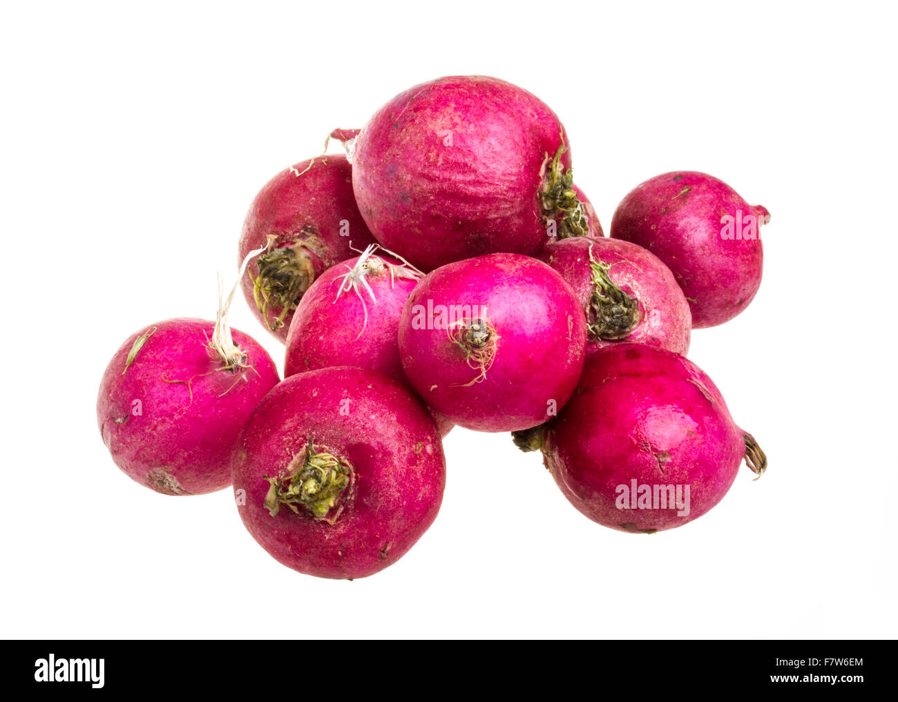 Small garden radish isolated on white background Stock Photo - Alamy
