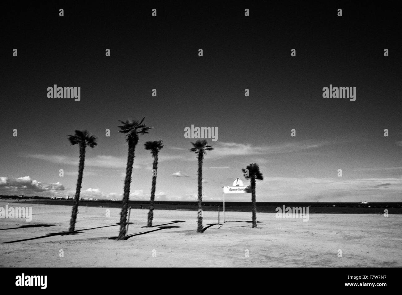 Italy, Emilia Romagna, Porto Garibaldi, Comacchio Stock Photo - Alamy