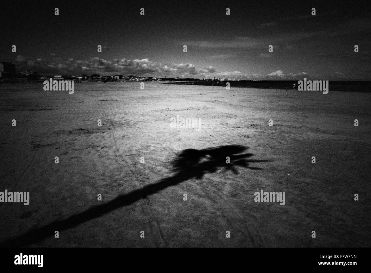 Italy, Emilia Romagna, Porto Garibaldi, Comacchio Stock Photo - Alamy