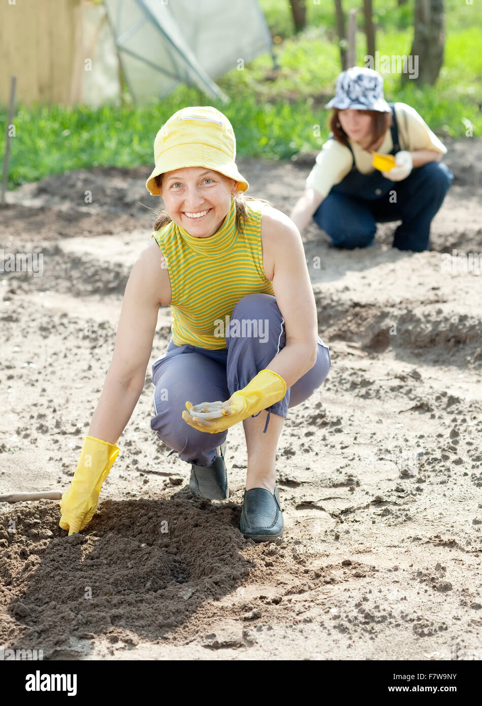 Woman sowing pumpkin seeds hi-res stock photography and images - Alamy