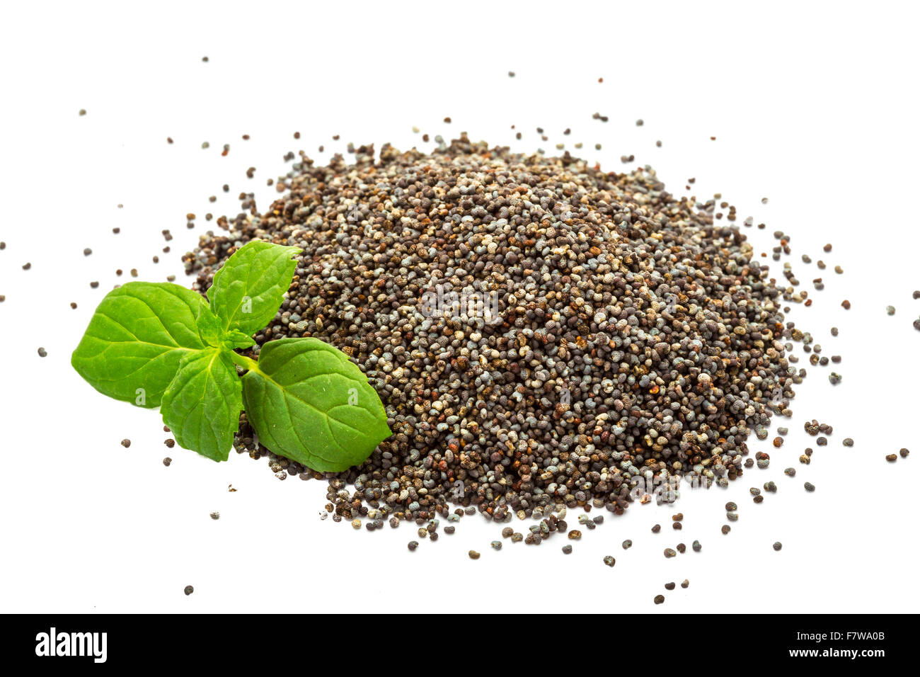 Poppy seeds studio macro shoot isolated Stock Photo - Alamy