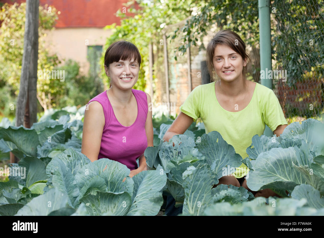 Two women in plant of cabbage Stock Photo - Alamy