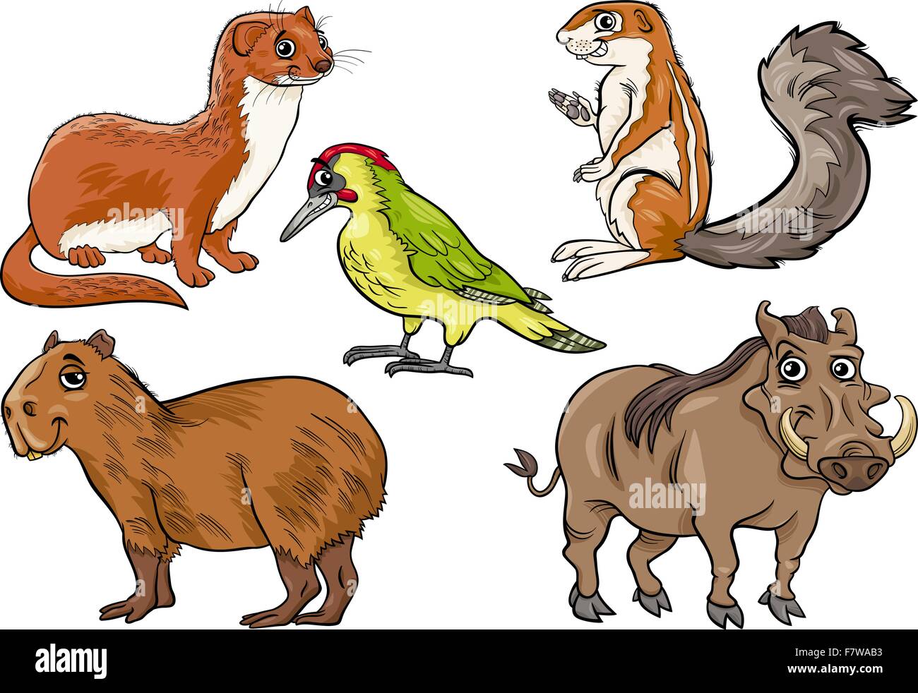 wild animals set cartoon illustration Stock Vector Image & Art - Alamy