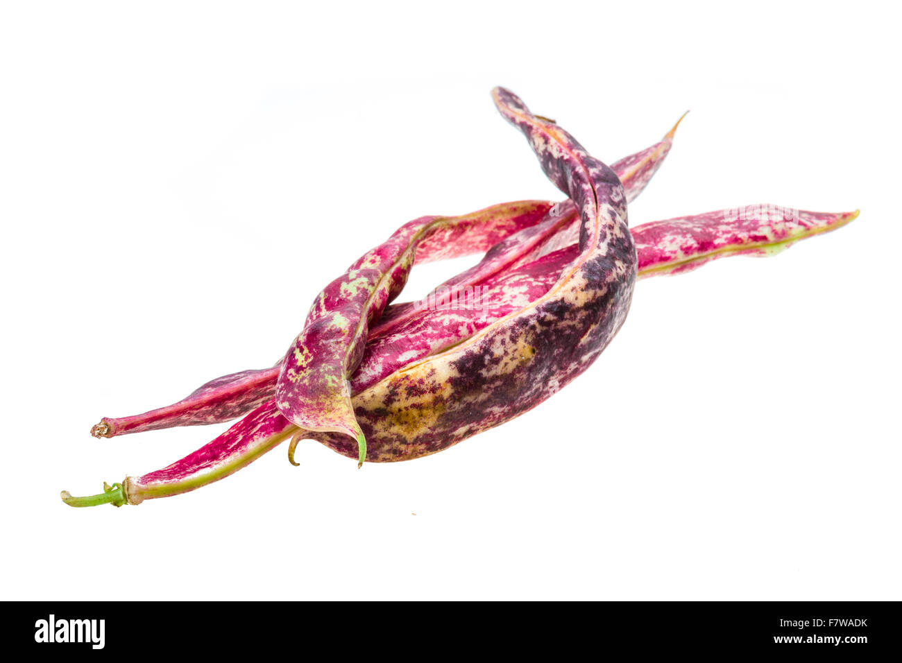 Red bean pod Stock Photo - Alamy