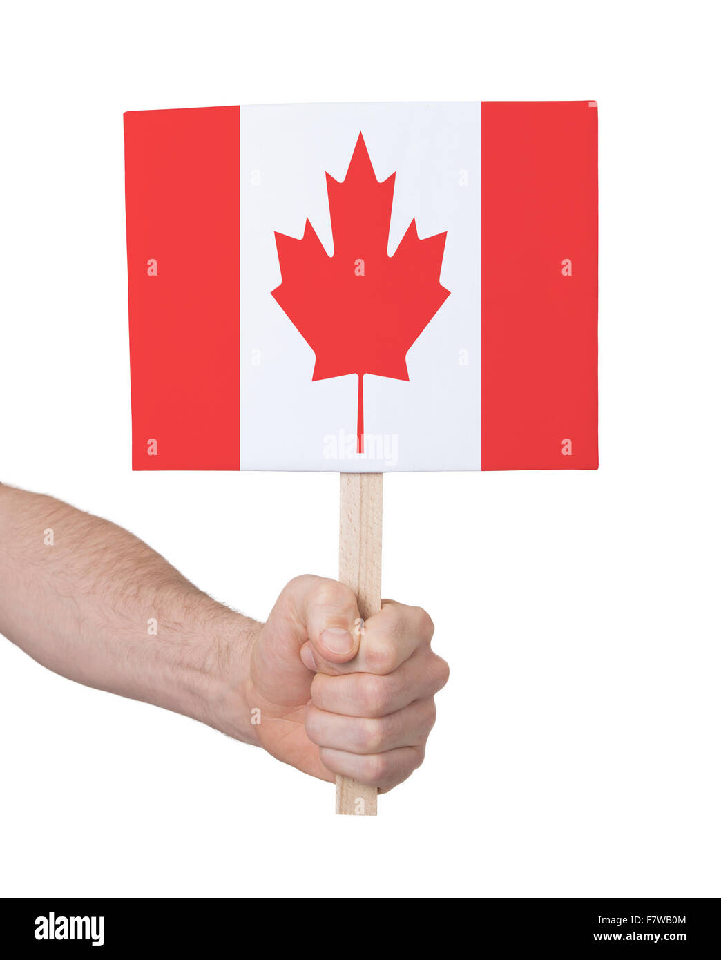 Canadian man holding canadian flag hi-res stock photography and images ...
