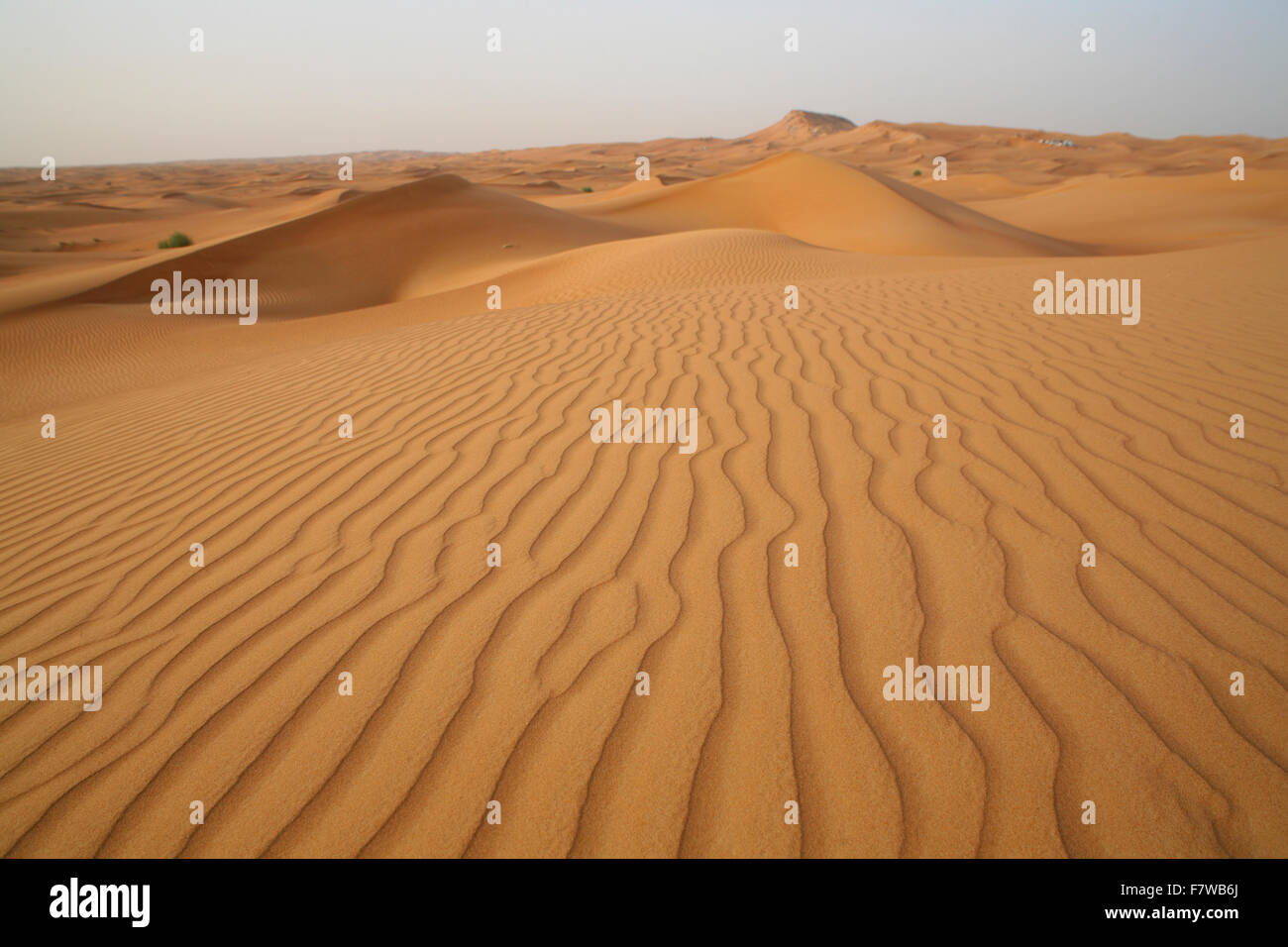 Dubai desert safari hi-res stock photography and images - Alamy