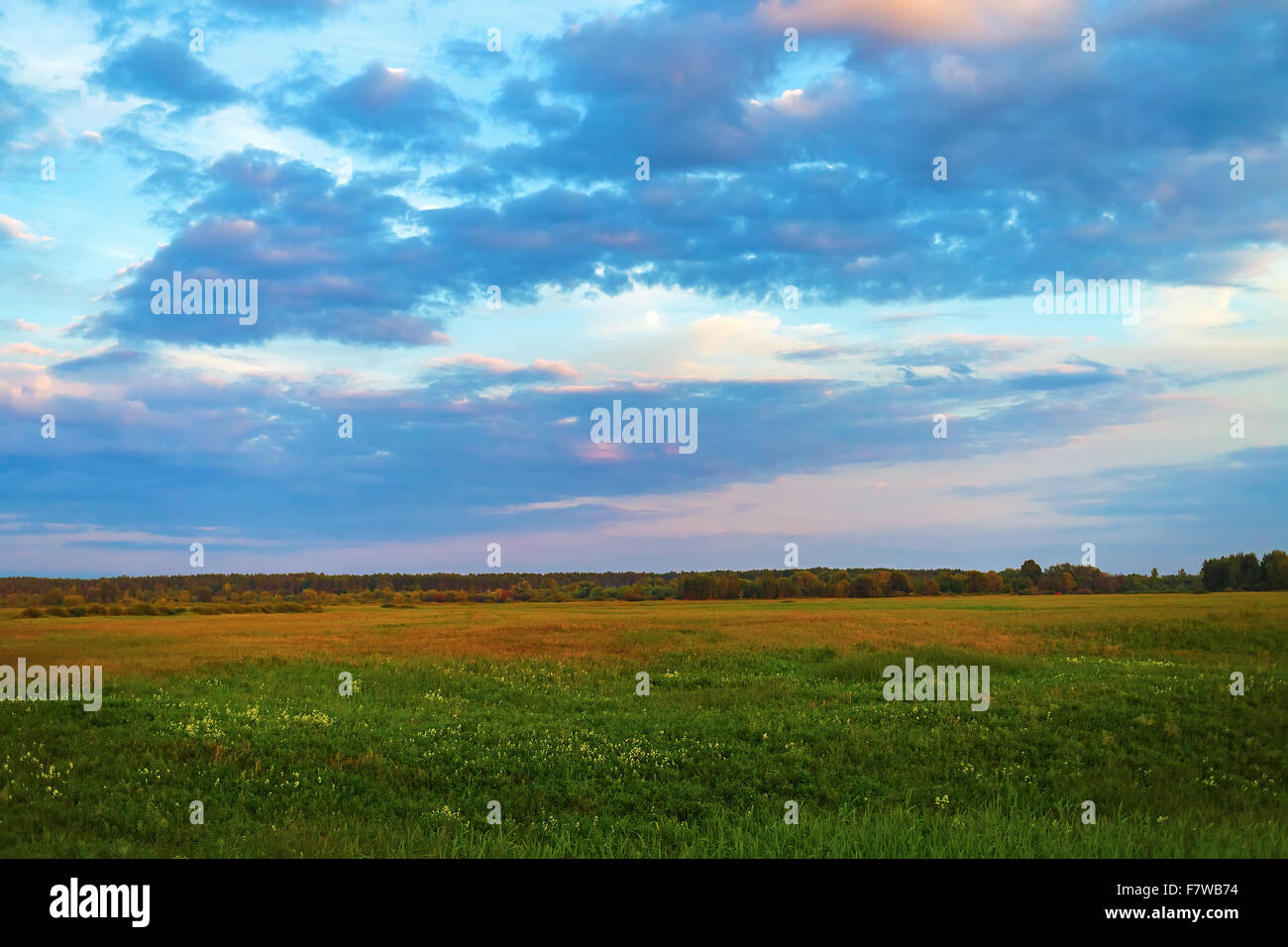 Evening rural landscape. Picturesque sky with clouds and the moon ...