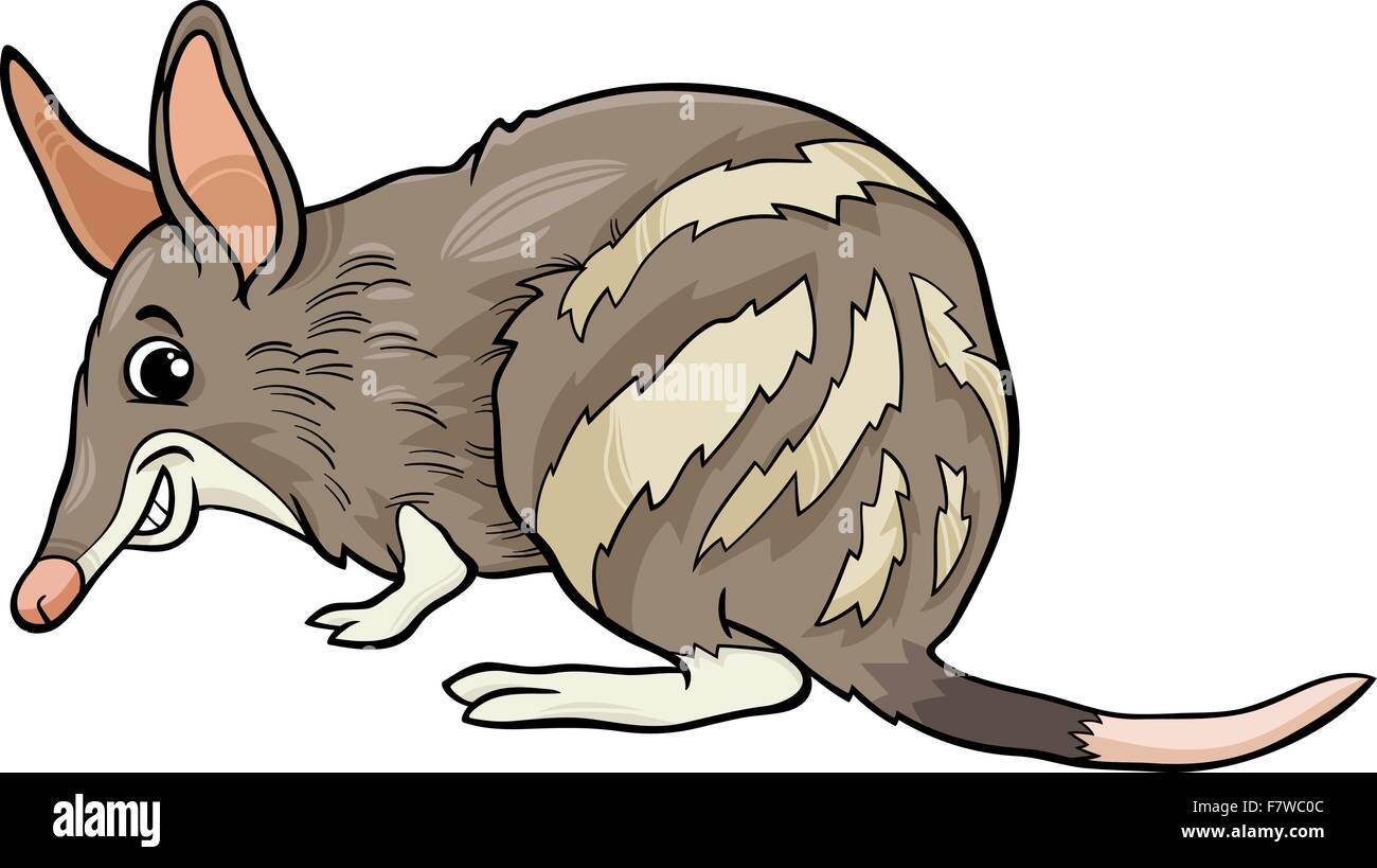bandicoot animal cartoon illustration Stock Vector Image & Art - Alamy