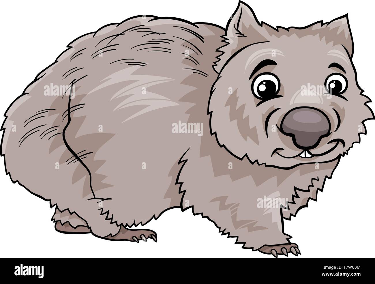 wombat animal cartoon illustration Stock Vector Image & Art - Alamy