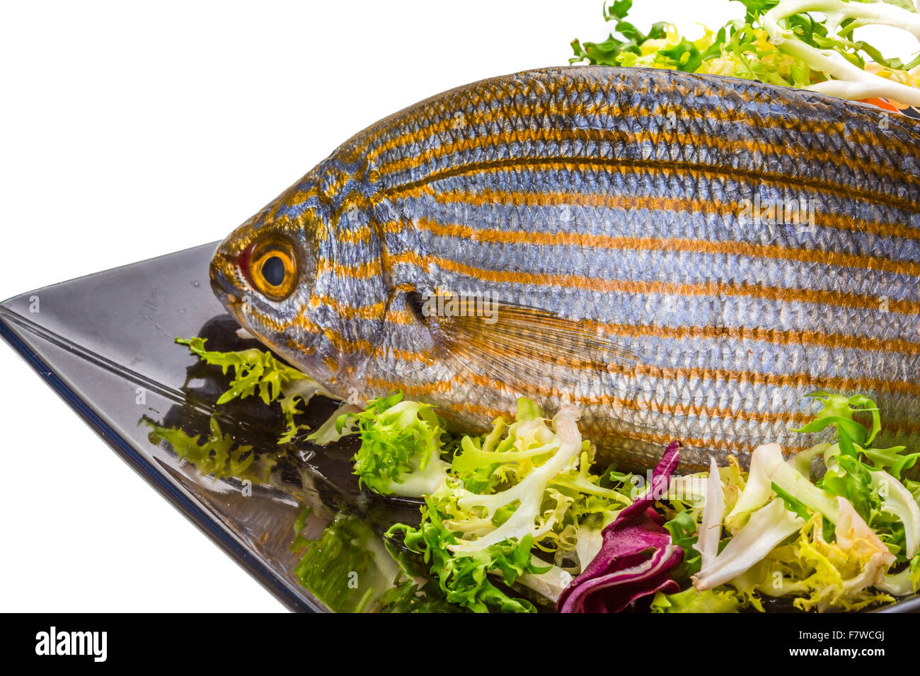 Salema porgy - sarpa fish Stock Photo - Alamy