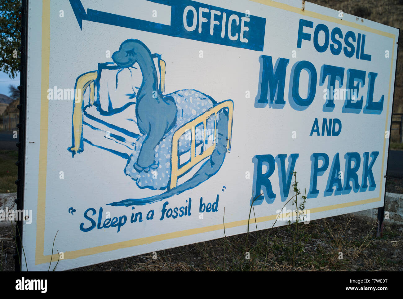 Fossil north america hi-res stock photography and images - Alamy