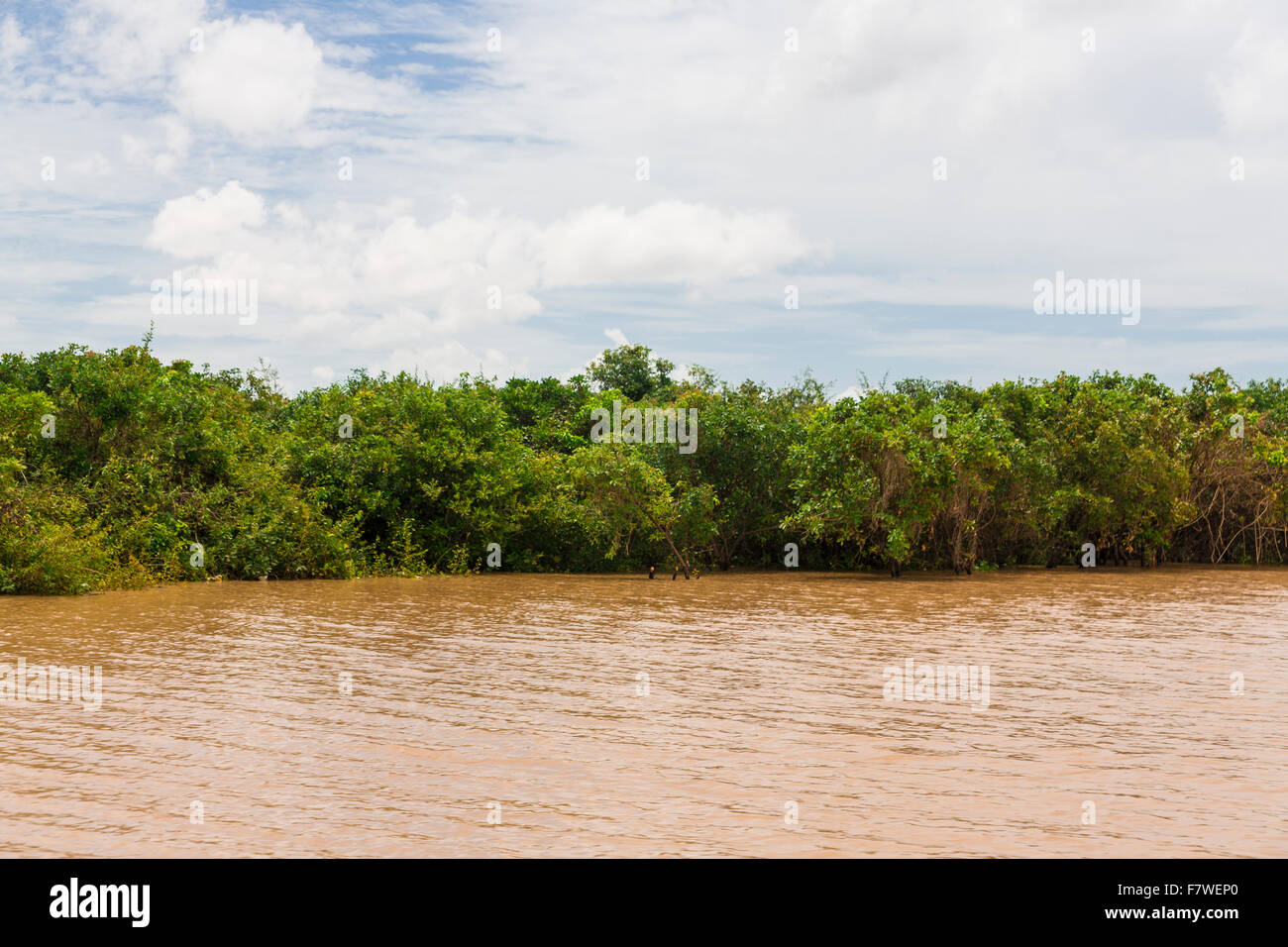 Tonle Sap lake in Cambodia Stock Photo - Alamy