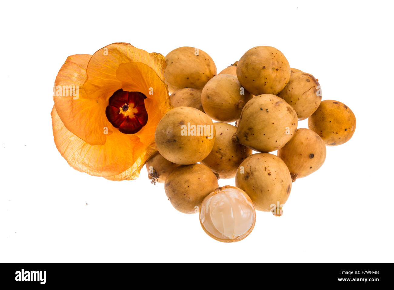 Thai fruit Lansium Stock Photo - Alamy