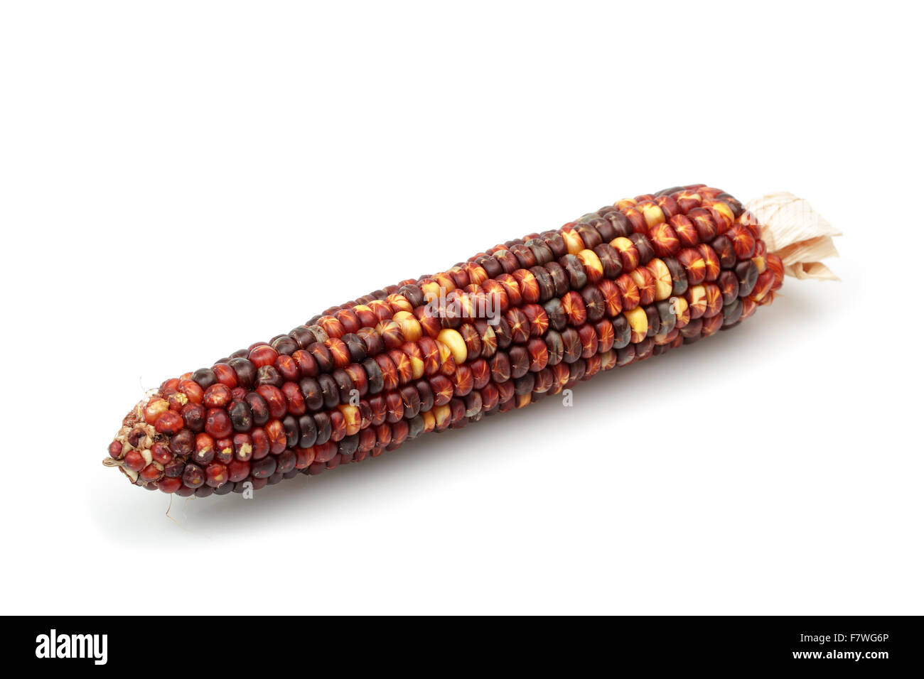 Indian cereal crop Cut Out Stock Images & Pictures - Alamy