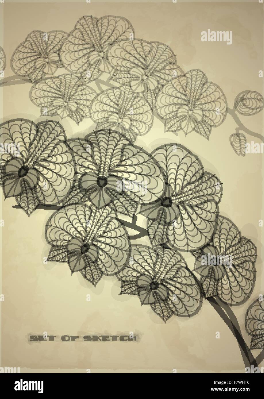 Orchid branch hand drawn Stock Vector Images - Alamy