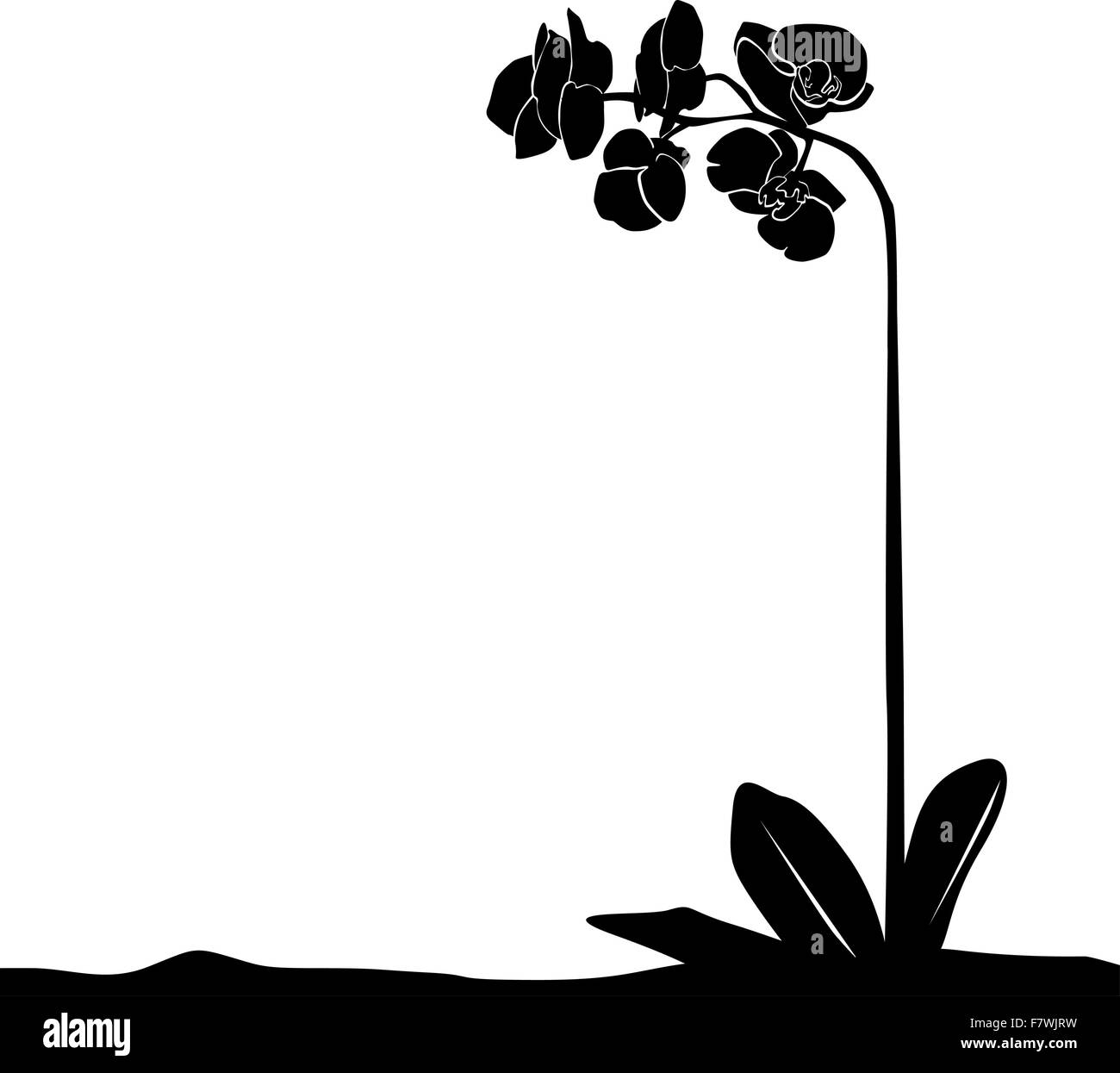 Garden designers Black and White Stock Photos & Images - Alamy