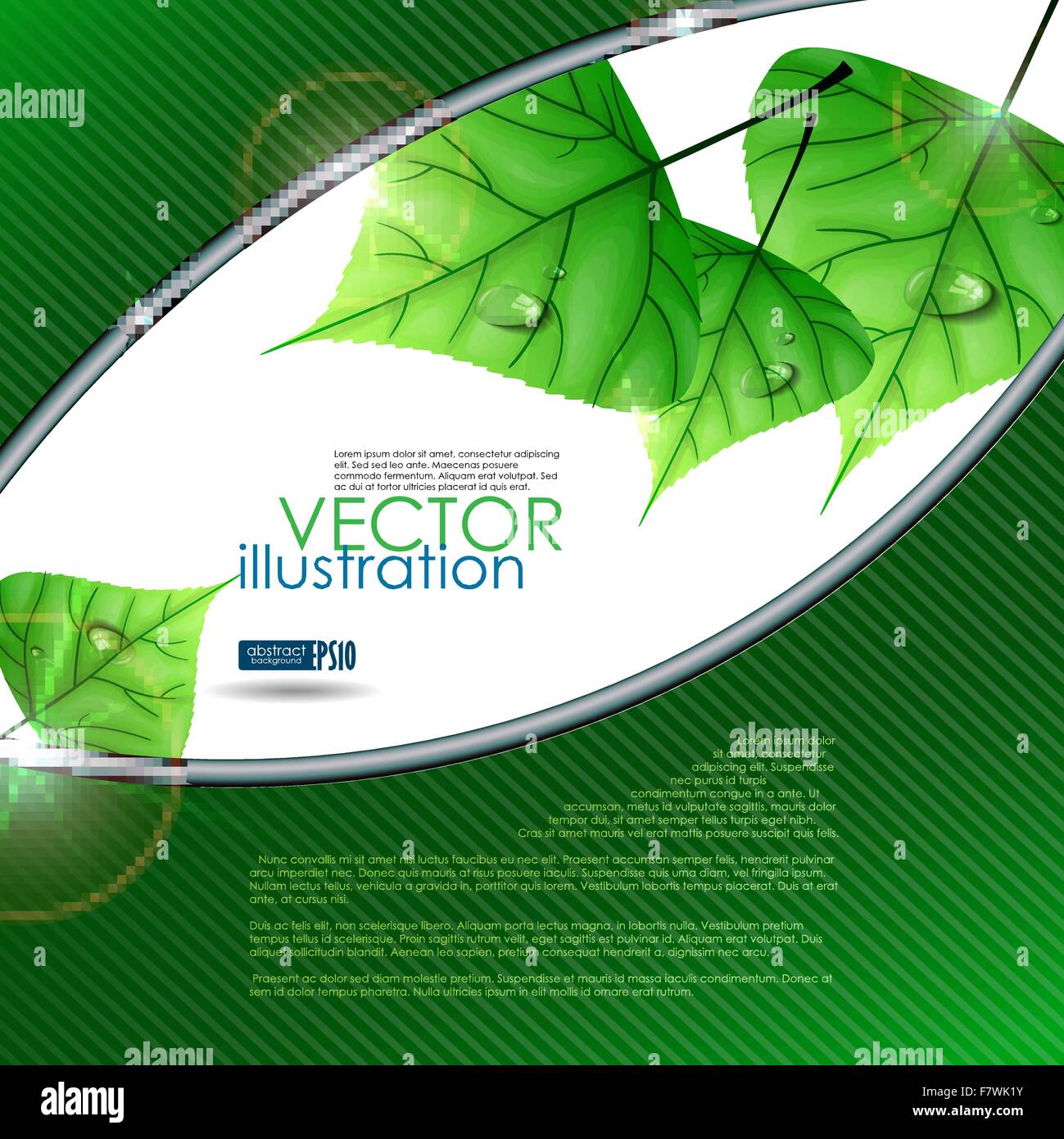 Eco Green Background With Leaves. Vector Illustration. Eps 10 Stock ...