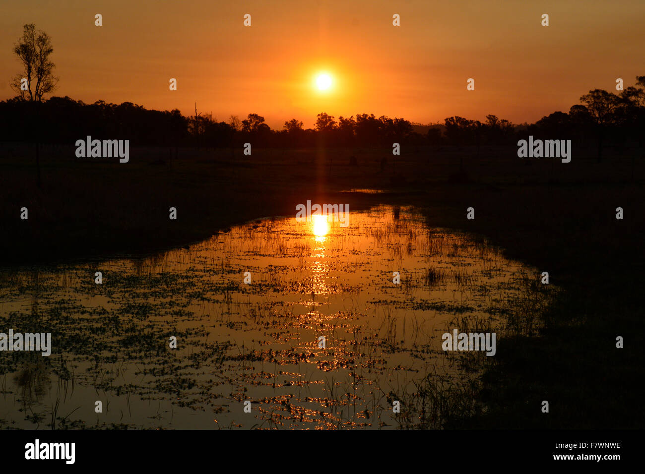 Australia outback night sky hi-res stock photography and images - Alamy