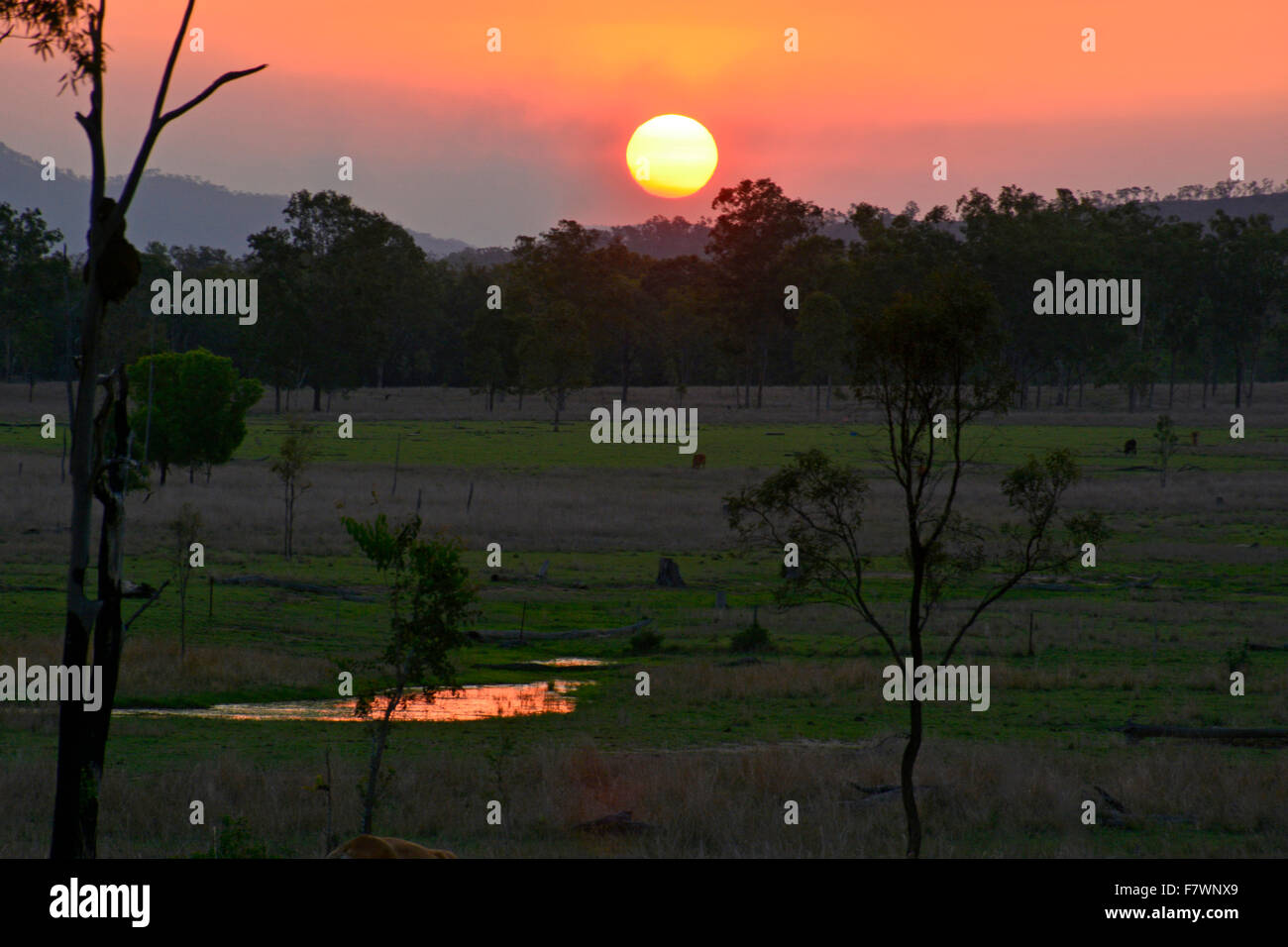 Australian night sky outback hi-res stock photography and images - Alamy