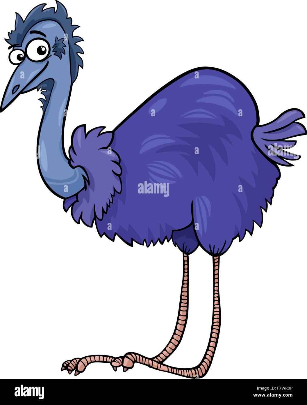 emu ostrich bird cartoon illustration Stock Vector Image & Art - Alamy